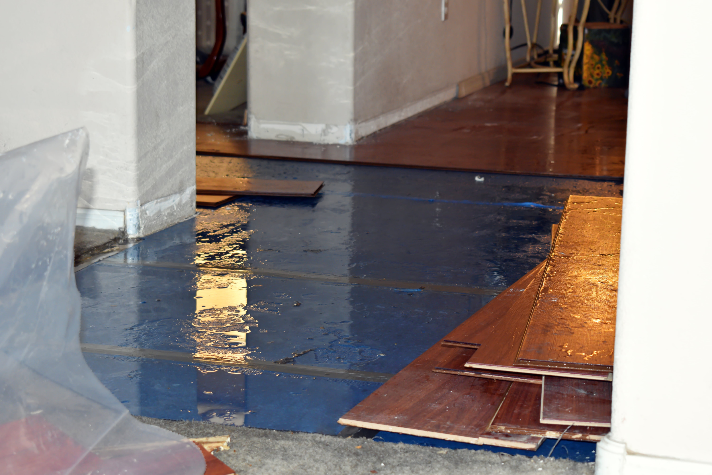 Signs of Water Damage | Rentokil Hygiene