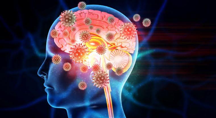 Meningitis Awareness: A Fact-Based Safety Guide | RSH